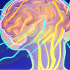Neuro-Marketing: Bridging the Gap Between Brain Science and Brand ...